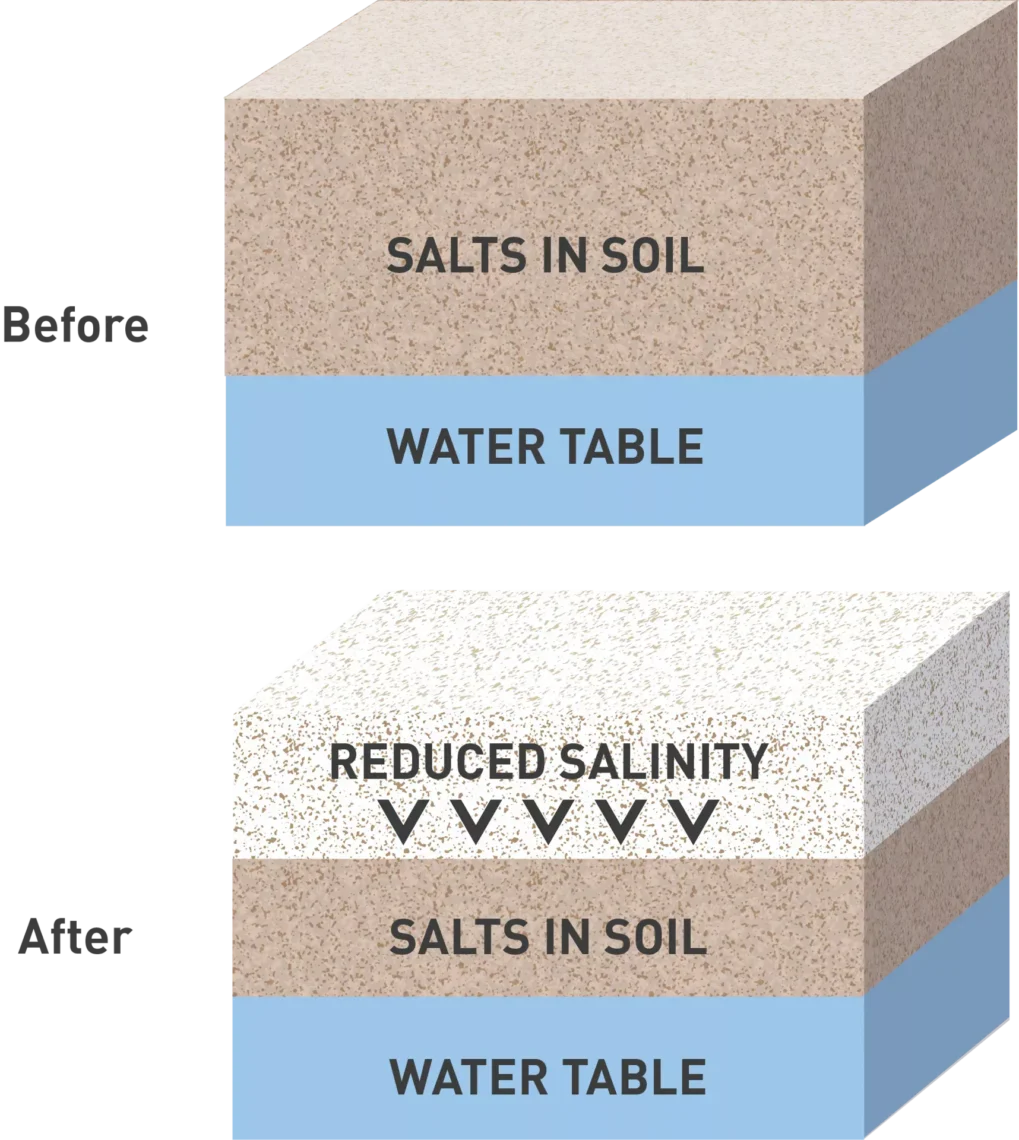 Inline Water Conditioning System | Liquimech